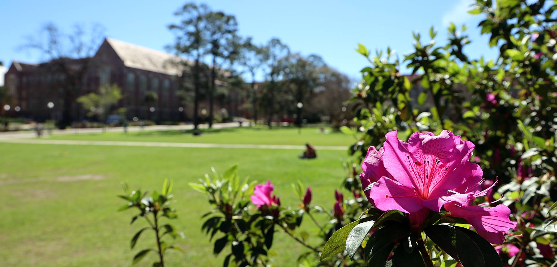 10 of the Easiest Classes at FSU