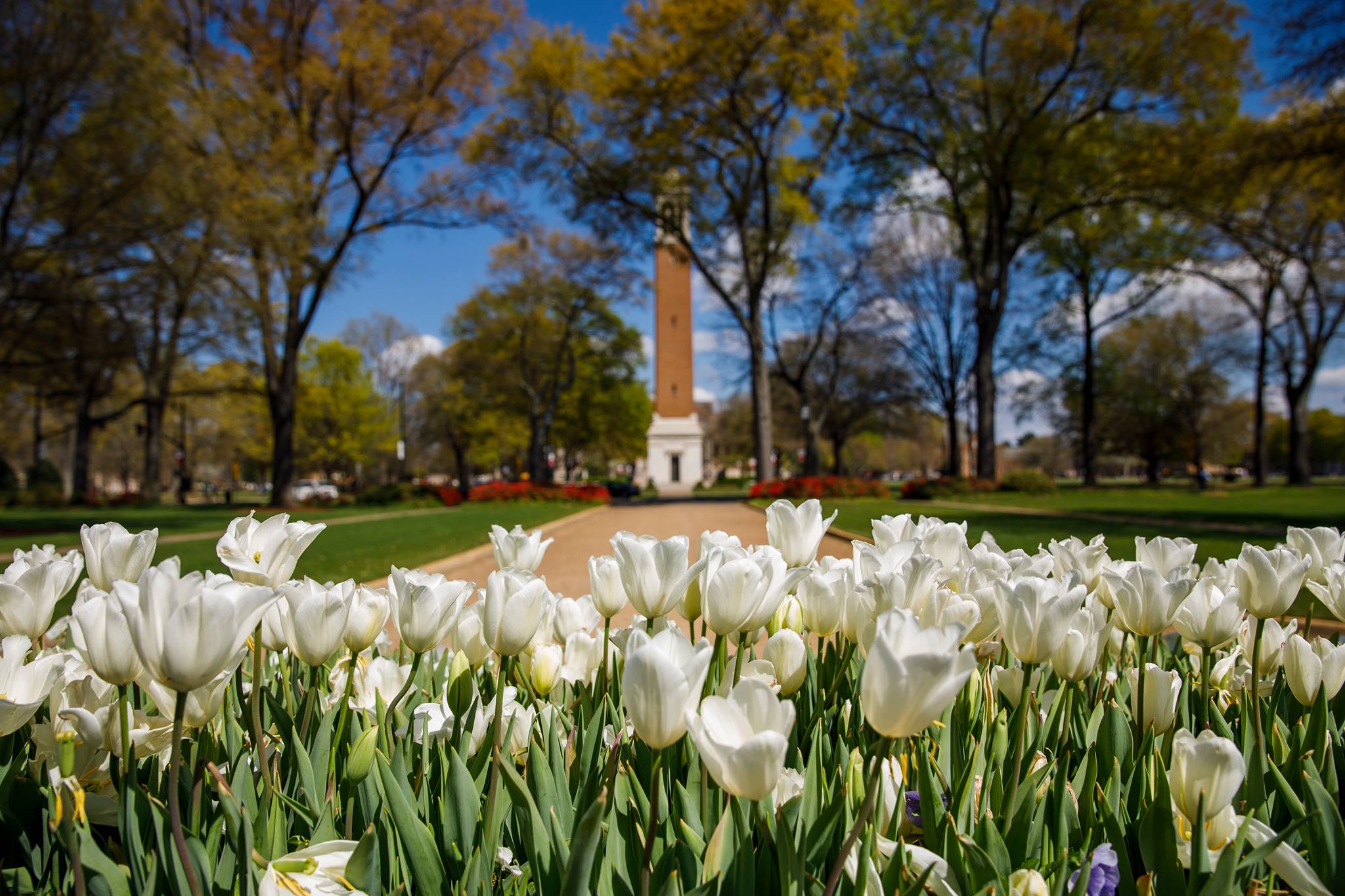 10 of the Easiest Classes at The University of Alabama