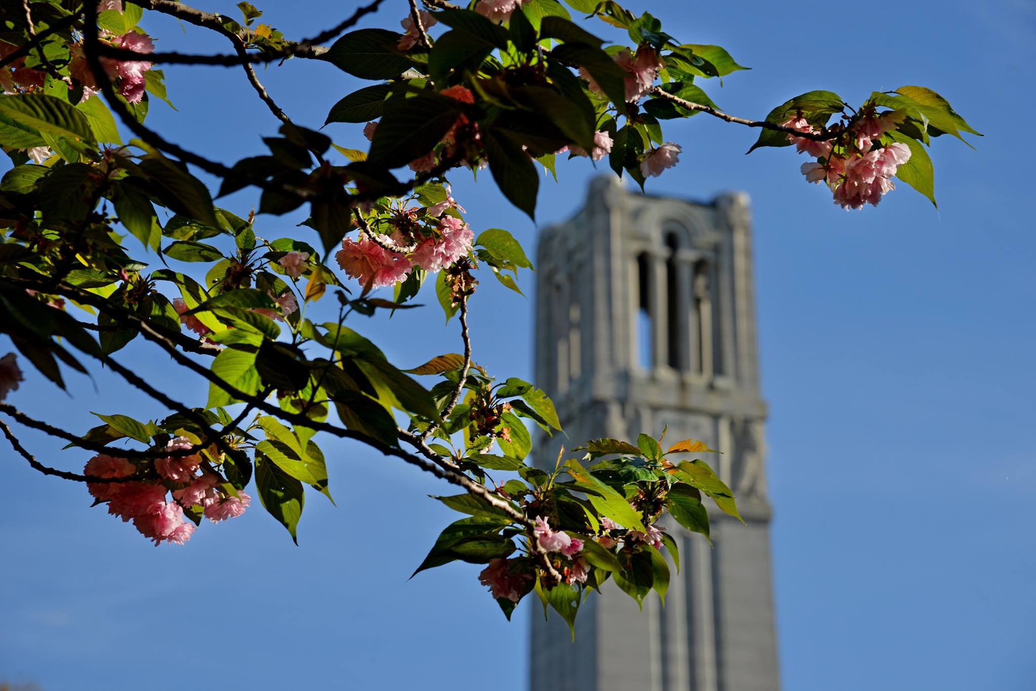 10 of the Easiest Classes at NC State