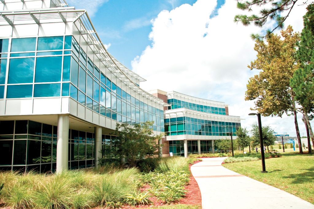 10 of the Easiest Classes at the University of North Florida
